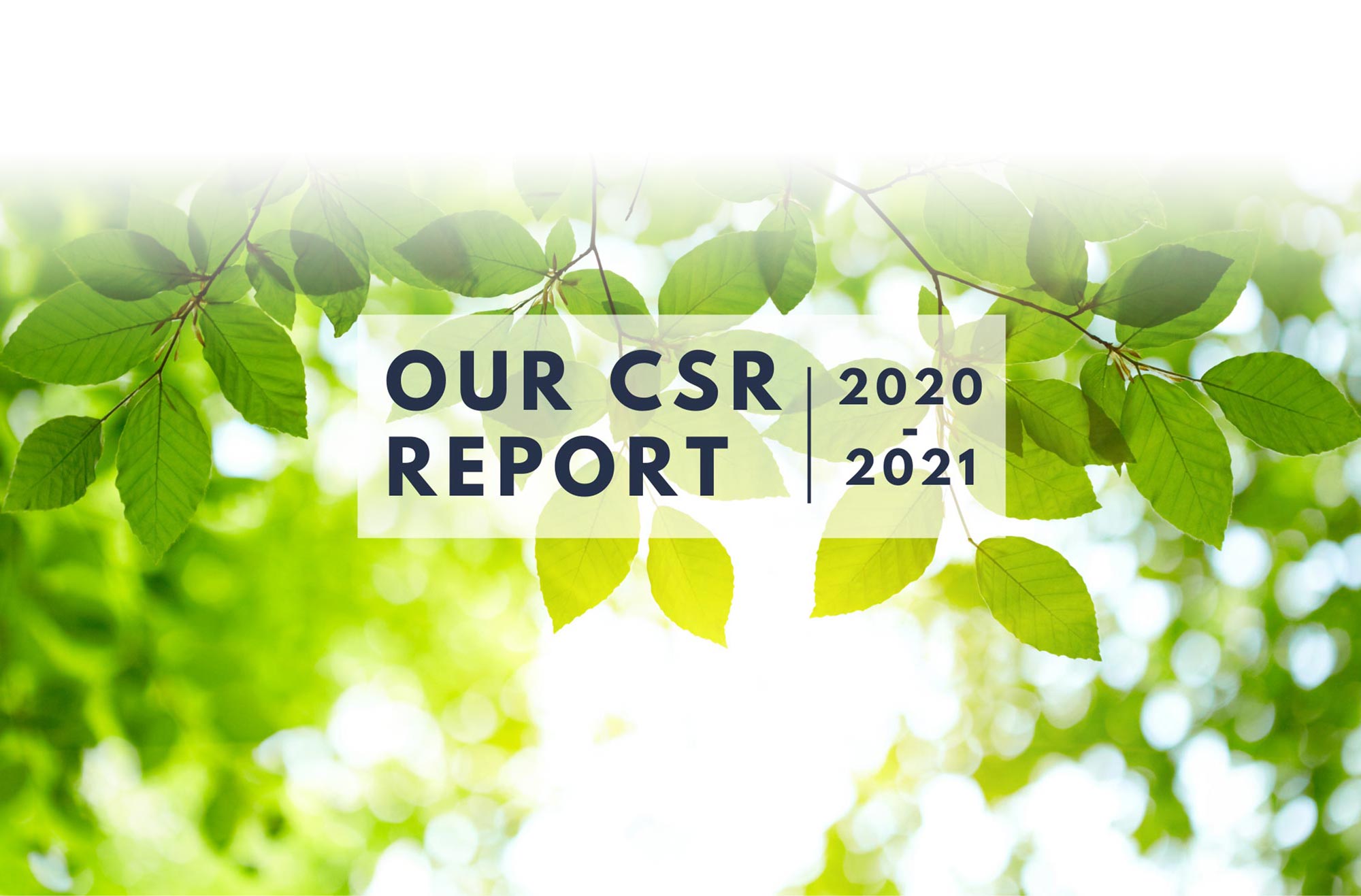 Coradin - Injected plastic parts for cosmetics and pharmacy